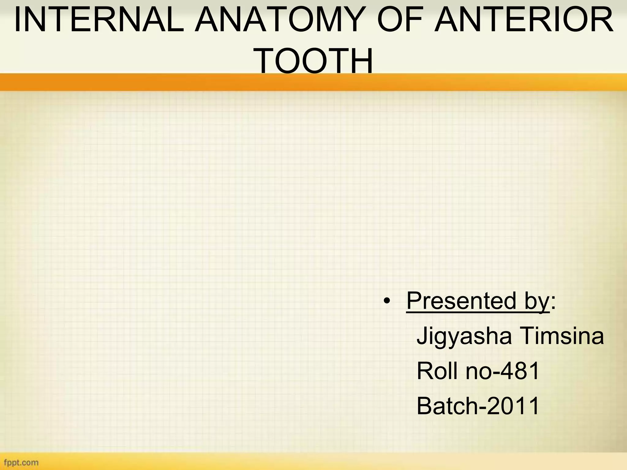 Internal anatomy of anterior tooth | PPTX