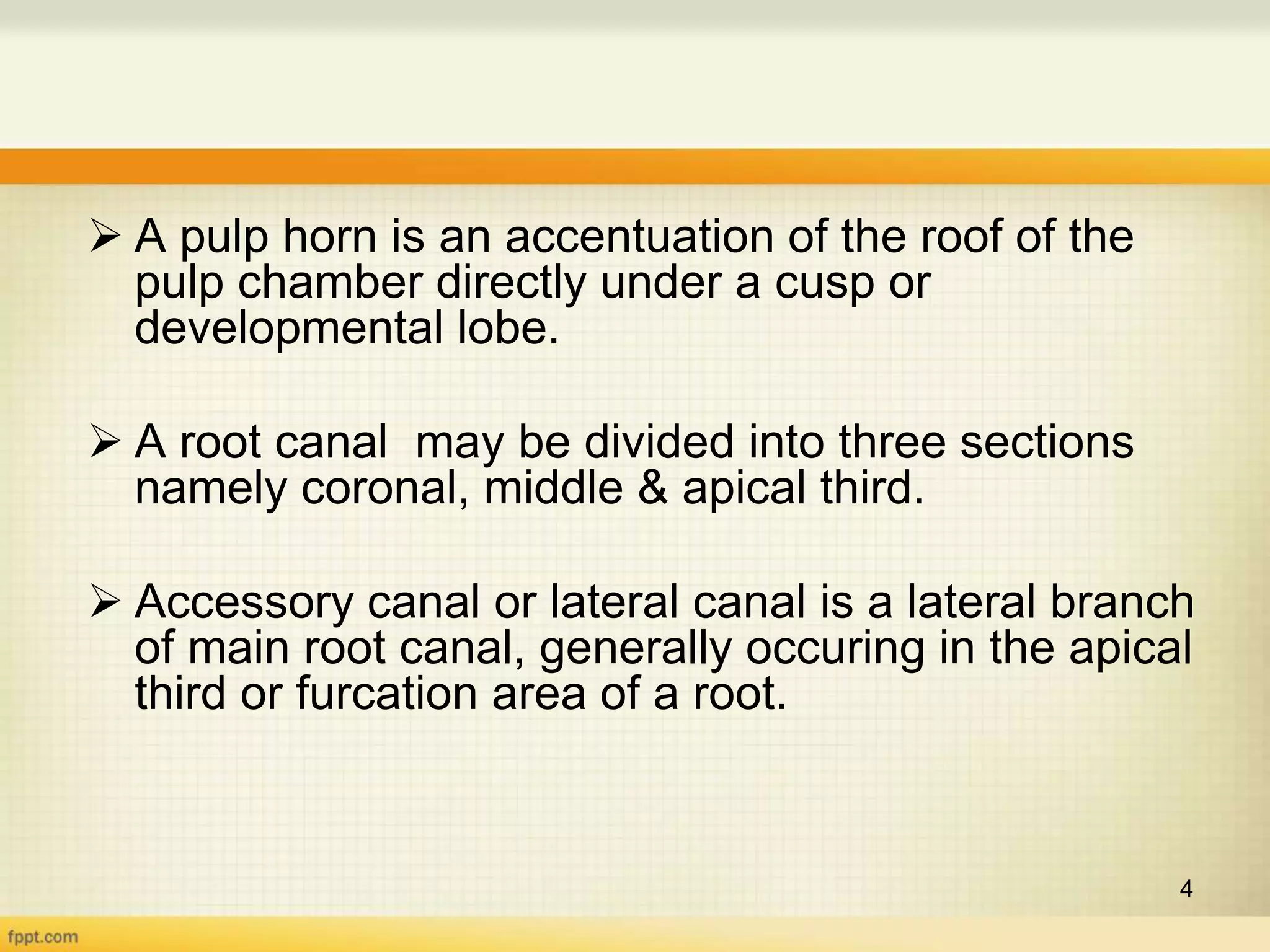 Internal anatomy of anterior tooth | PPTX