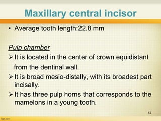 Internal anatomy of anterior tooth | PPTX