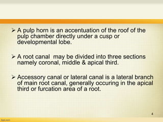 Internal anatomy of anterior tooth | PPTX