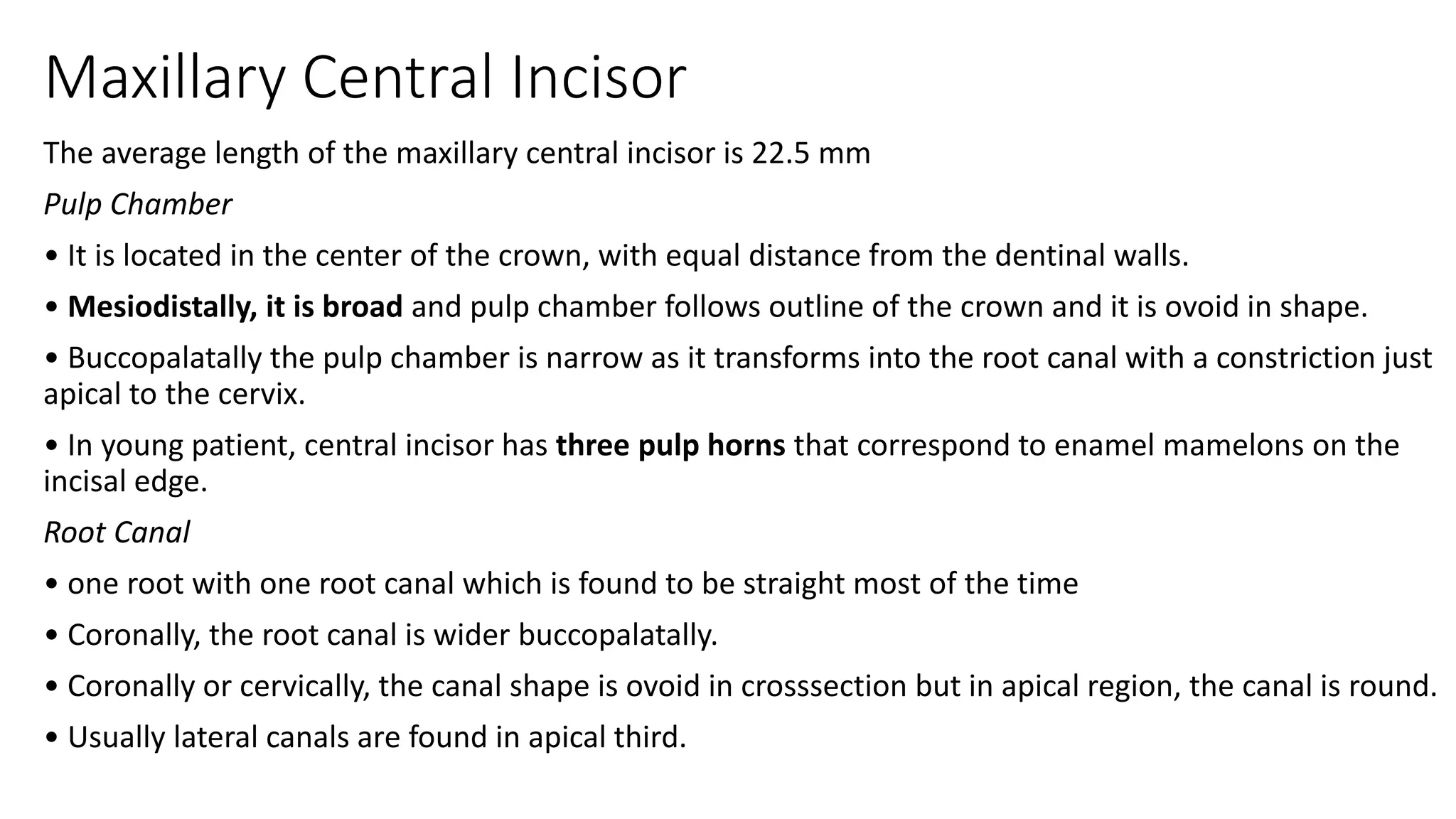 Internal anatomy of each tooth | PPTX