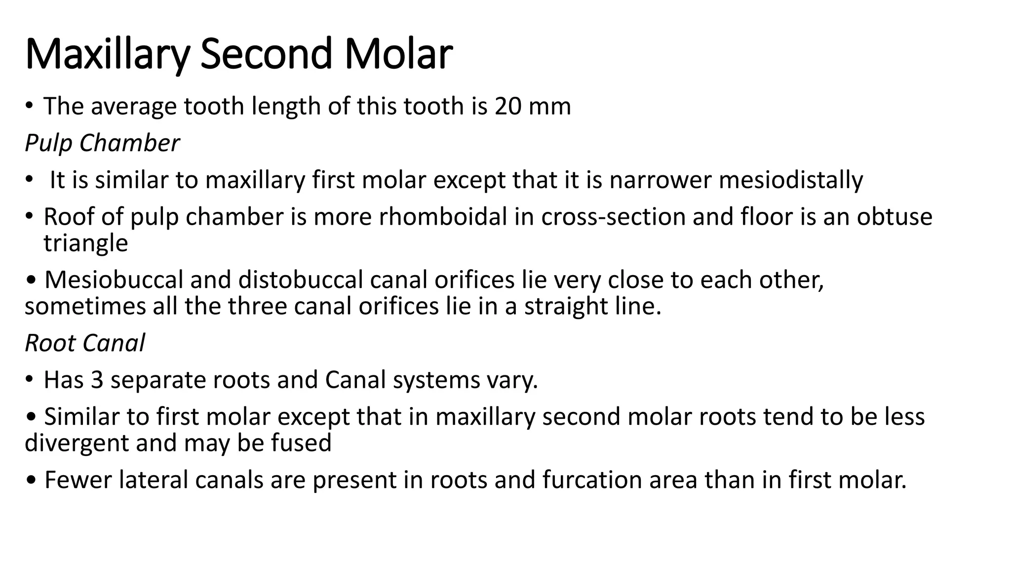 Internal anatomy of each tooth | PPTX