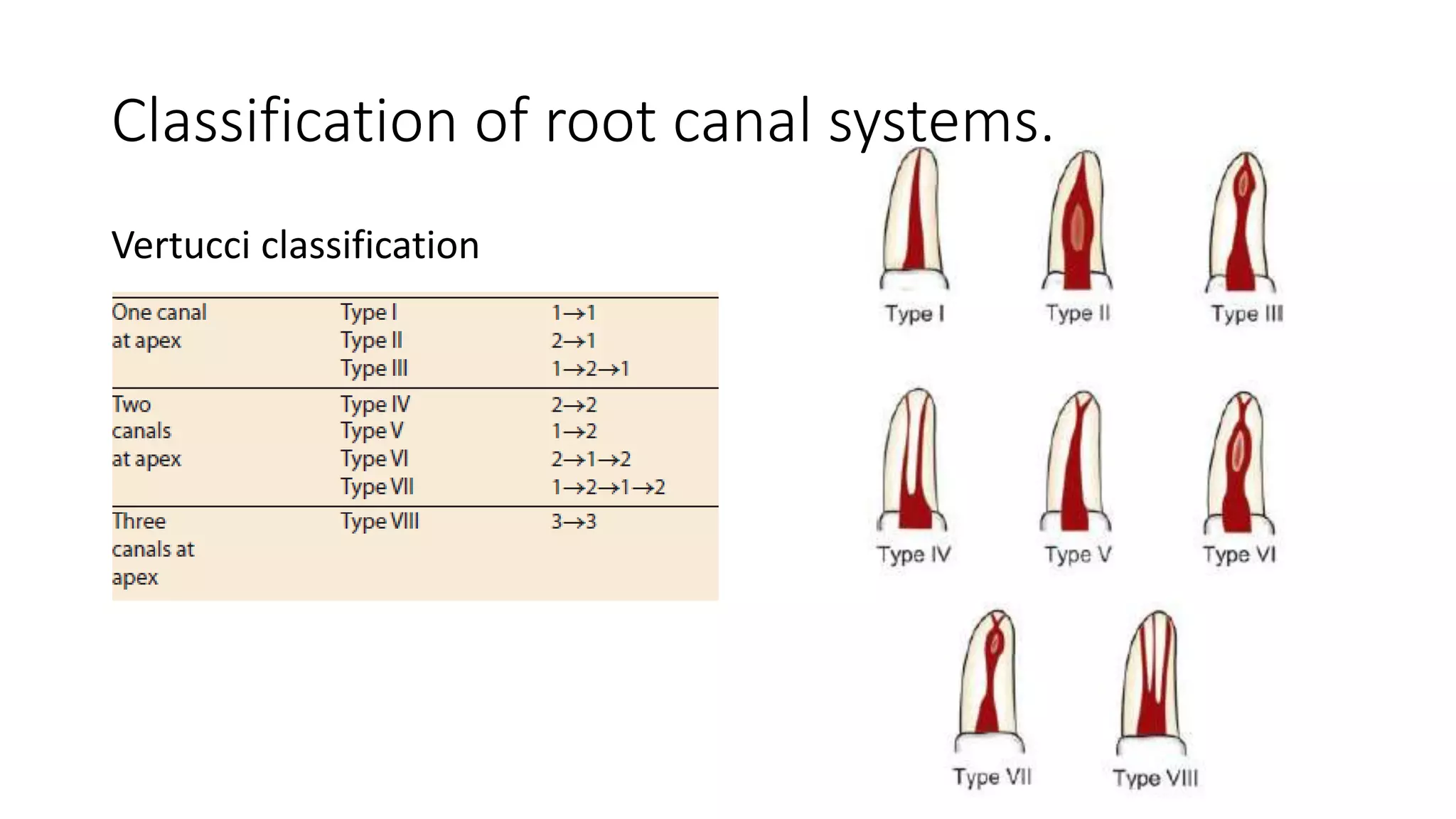 Internal anatomy of each tooth | PPTX