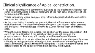 Internal anatomy of each tooth | PPTX