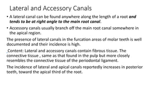 Internal anatomy of each tooth | PPTX