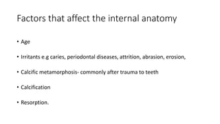 Internal anatomy of each tooth | PPTX