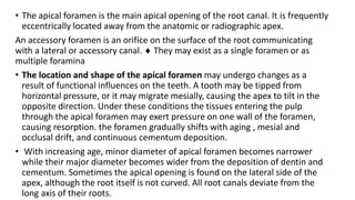Internal anatomy of each tooth | PPTX