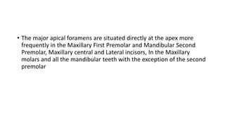 Internal anatomy of each tooth | PPTX