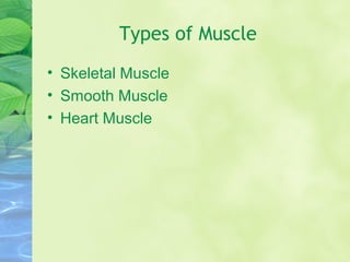 Internal anatomy of fish | PPT