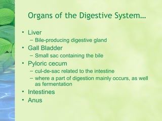 Internal anatomy of fish | PPT