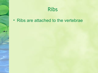 Internal anatomy of fish | PPT