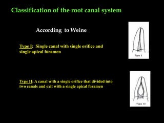 Internal anatomy of tooth | PPTX