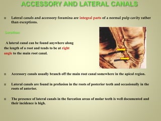 Internal anatomy of tooth | PPTX