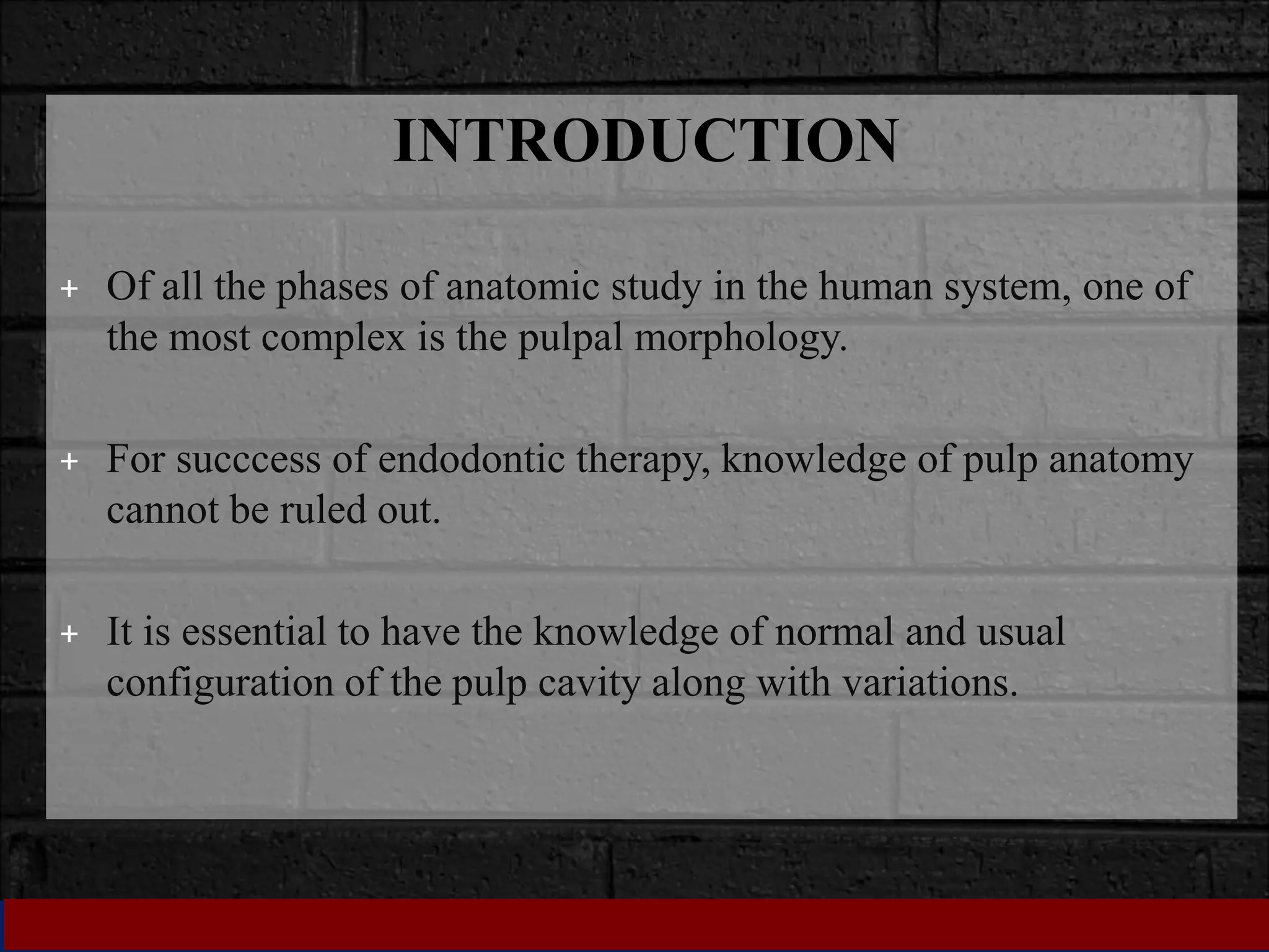 Internal anatomy of pulp space | PPT