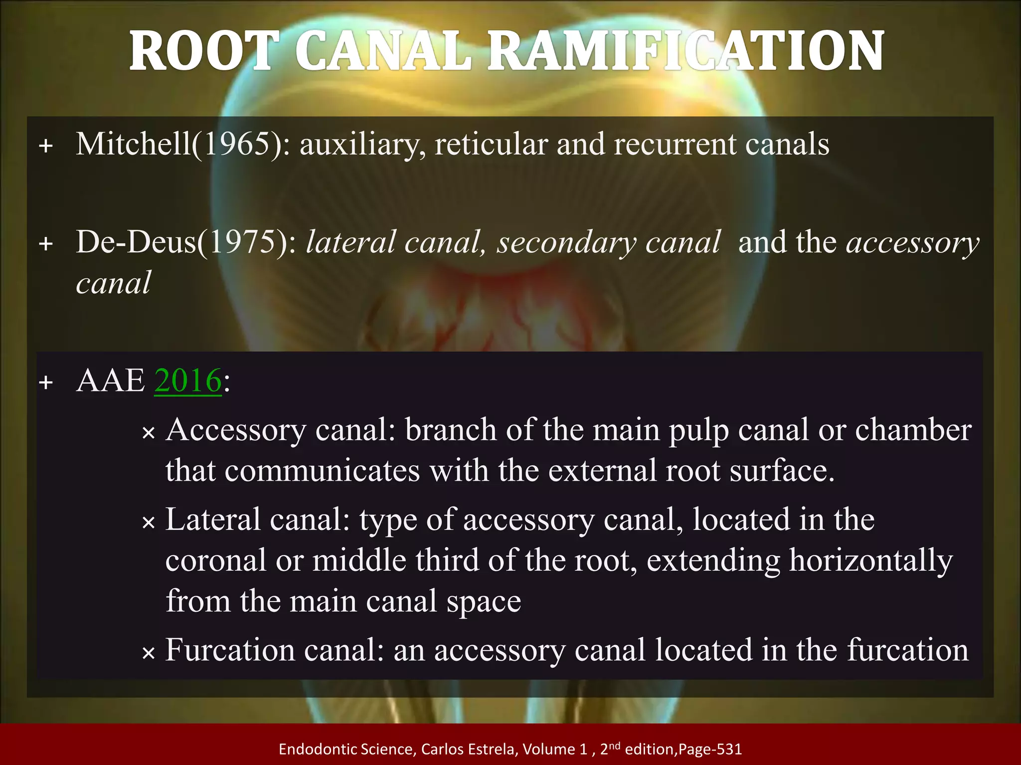 Internal anatomy of pulp space | PPT | Dental Health | Diseases and ...