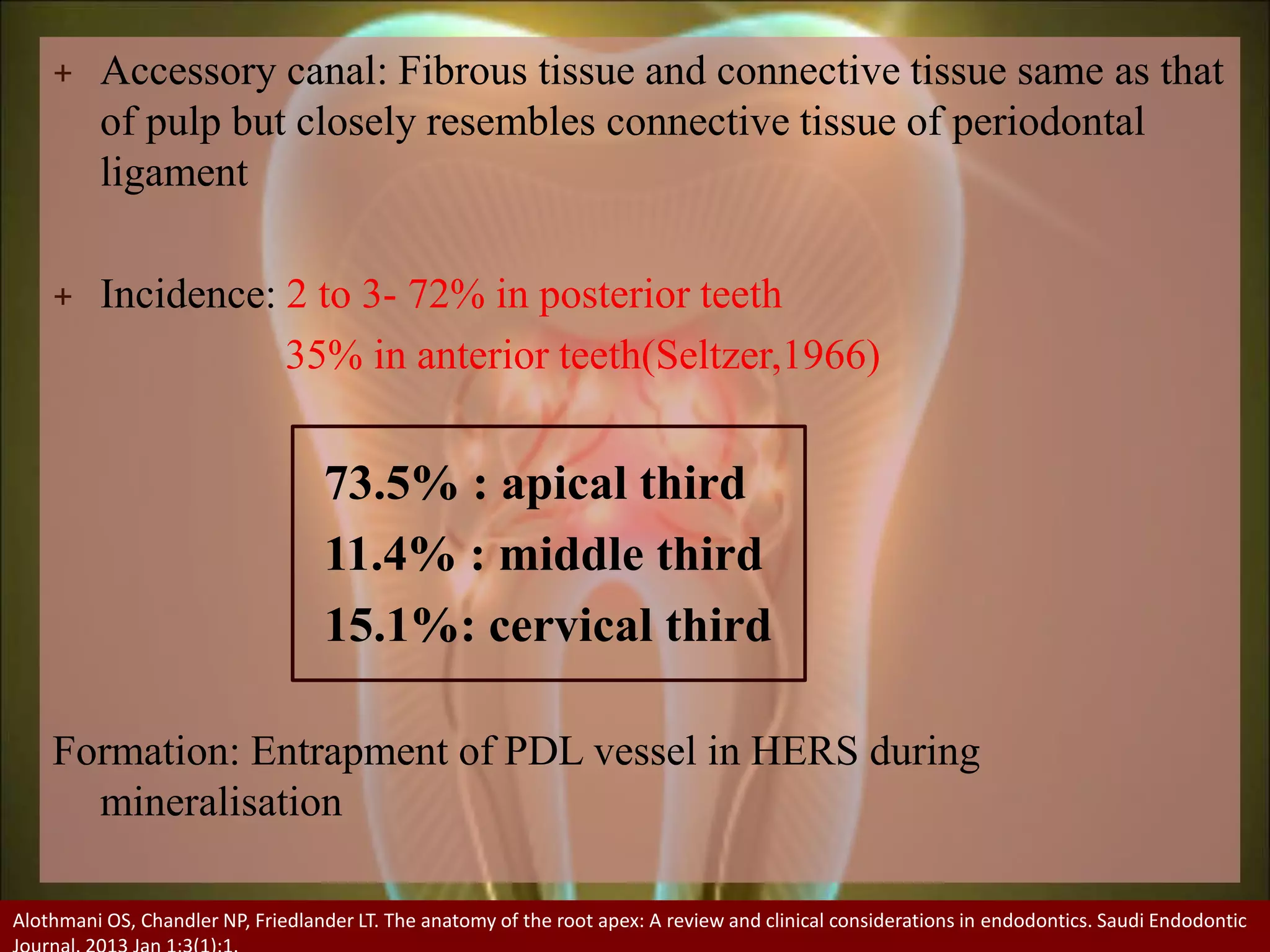 Internal anatomy of pulp space | PPT