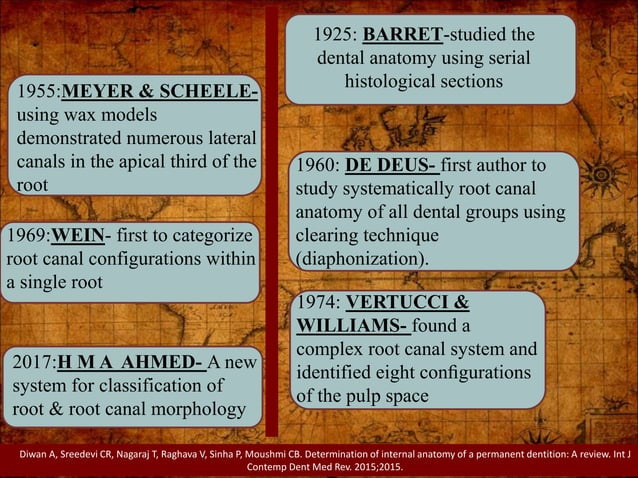 Internal anatomy of pulp space | PPT | Dental Health | Diseases and ...