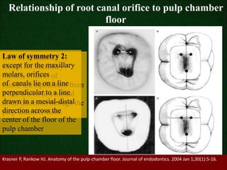 Internal anatomy of pulp space | PPT