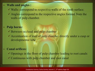 Internal anatomy of pulp space | PPT