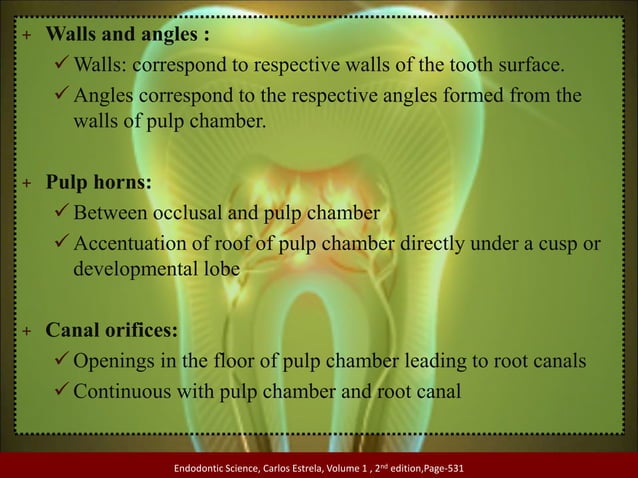 Internal anatomy of pulp space | PPT | Dental Health | Diseases and ...
