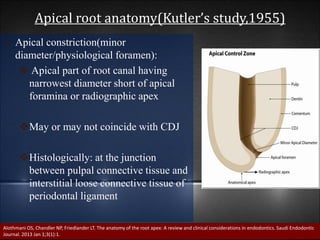 Internal anatomy of pulp space | PPT