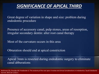 Internal anatomy of pulp space | PPT