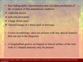 Internal anatomy of pulp space | PPT