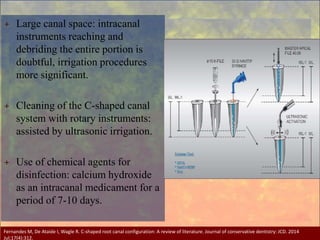 Internal anatomy of pulp space | PPT