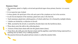 Internal and External features of mammary gland.pptx