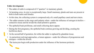 Internal and External features of mammary gland.pptx