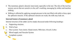 Internal and External features of mammary gland.pptx