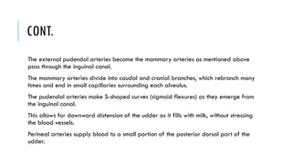 Internal and External structure of udder.pdf