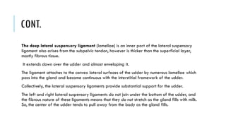Internal and External structure of udder.pdf