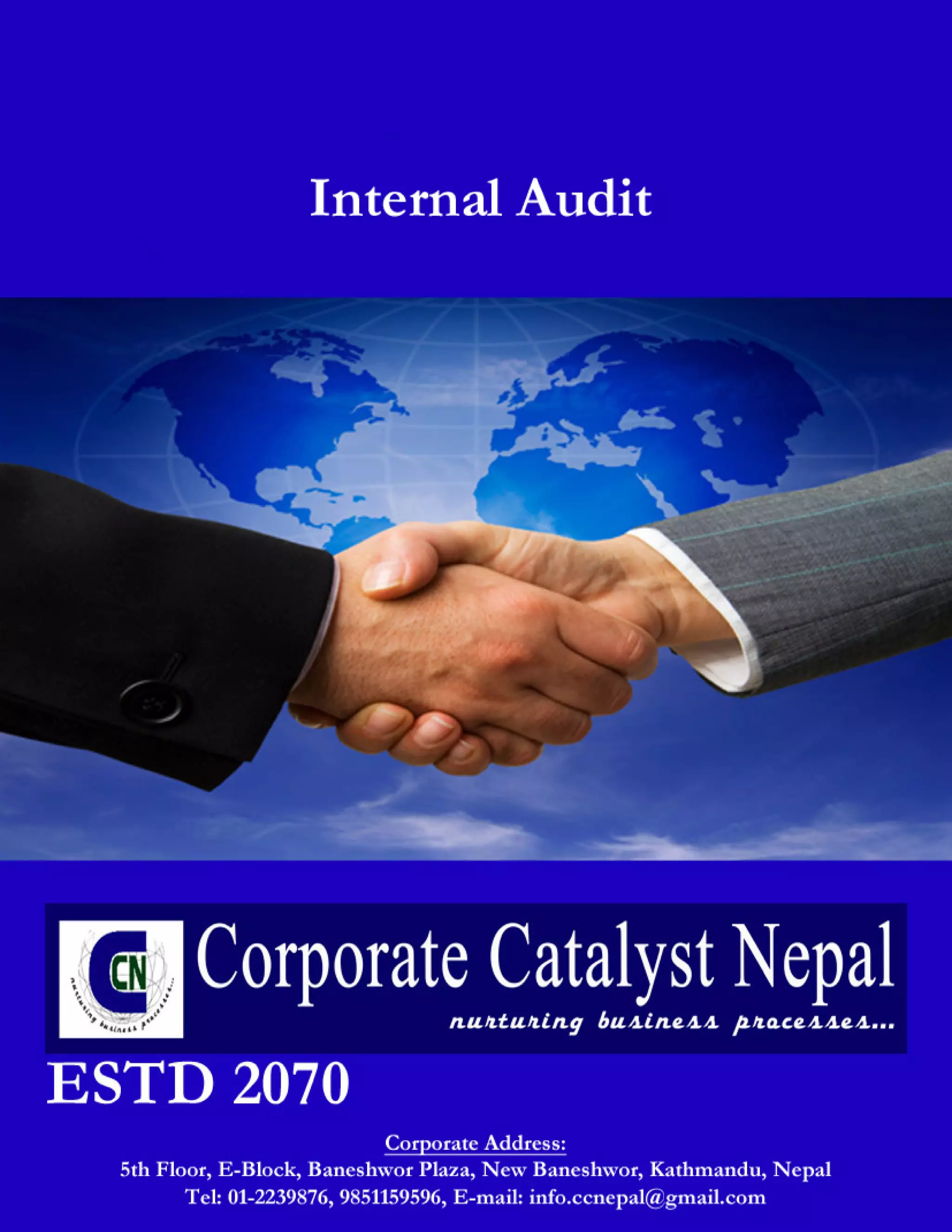 Internal Audit | PDF
