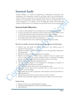 Internal Audit | PDF