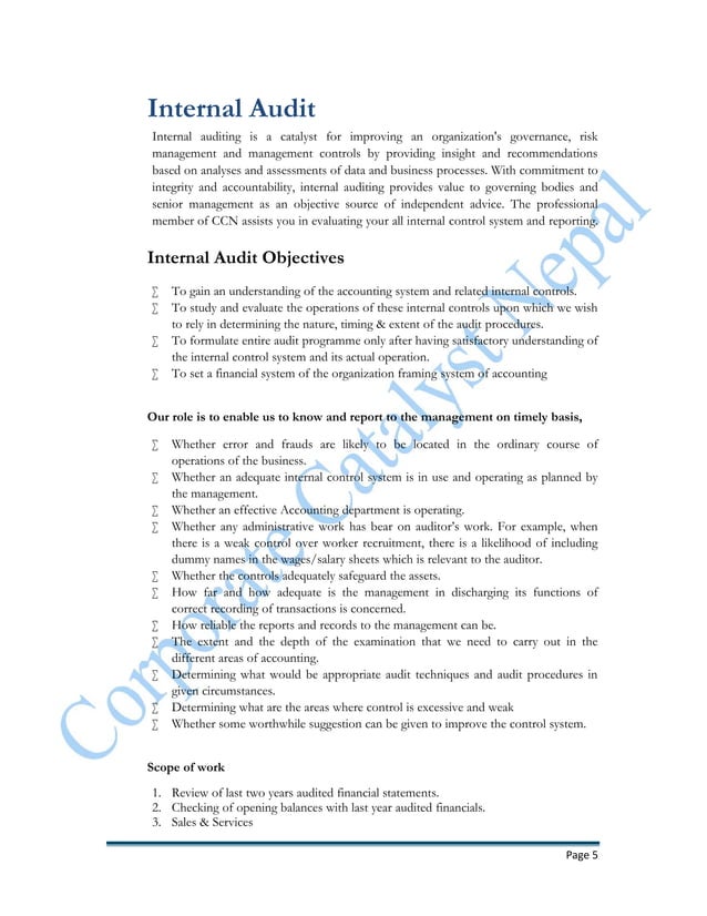 Internal Audit | PDF
