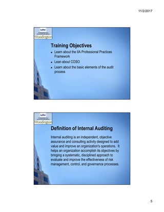 Internal Auditing Basics | PDF