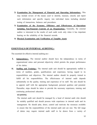 Internal Audit Project | PDF