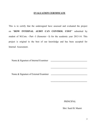 Internal Audit Project | PDF