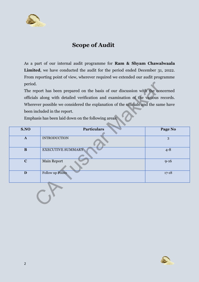 CA Tushar Makkar-Sample Internal Audit Report Final | PDF