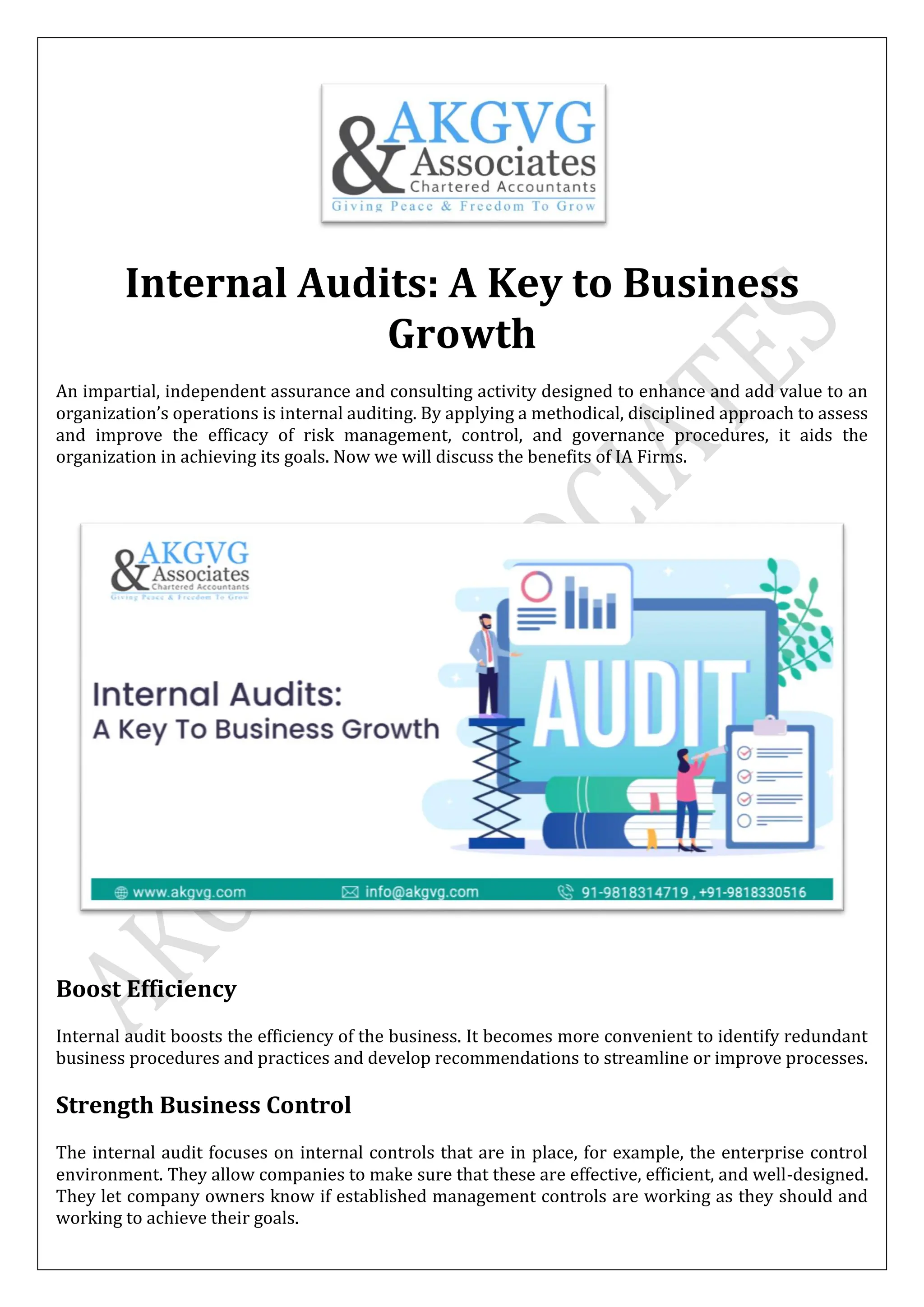 Internal Audits - A Key To Business Growth.pdf