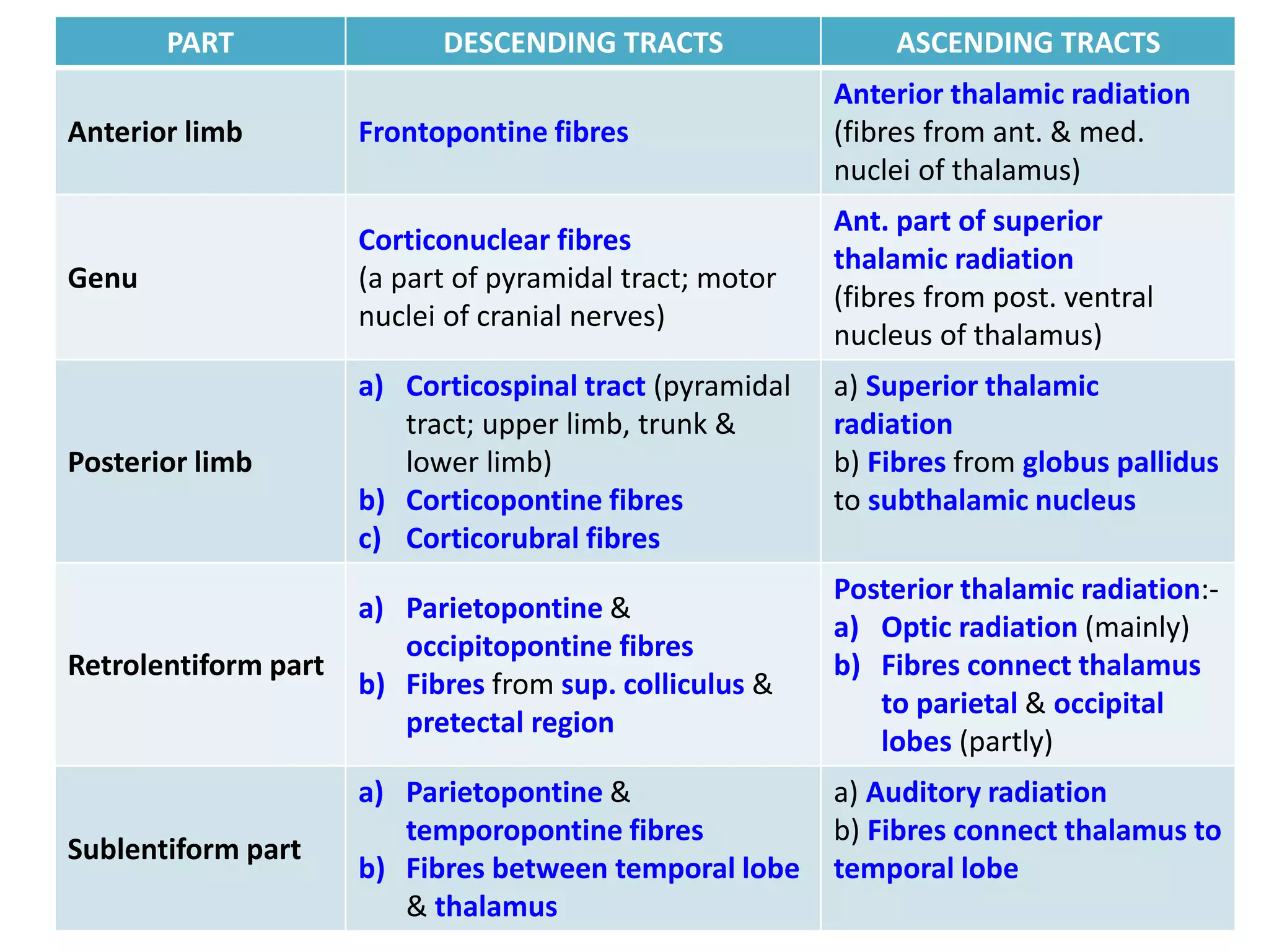 Internal Capsule-Anatomy | PPTX