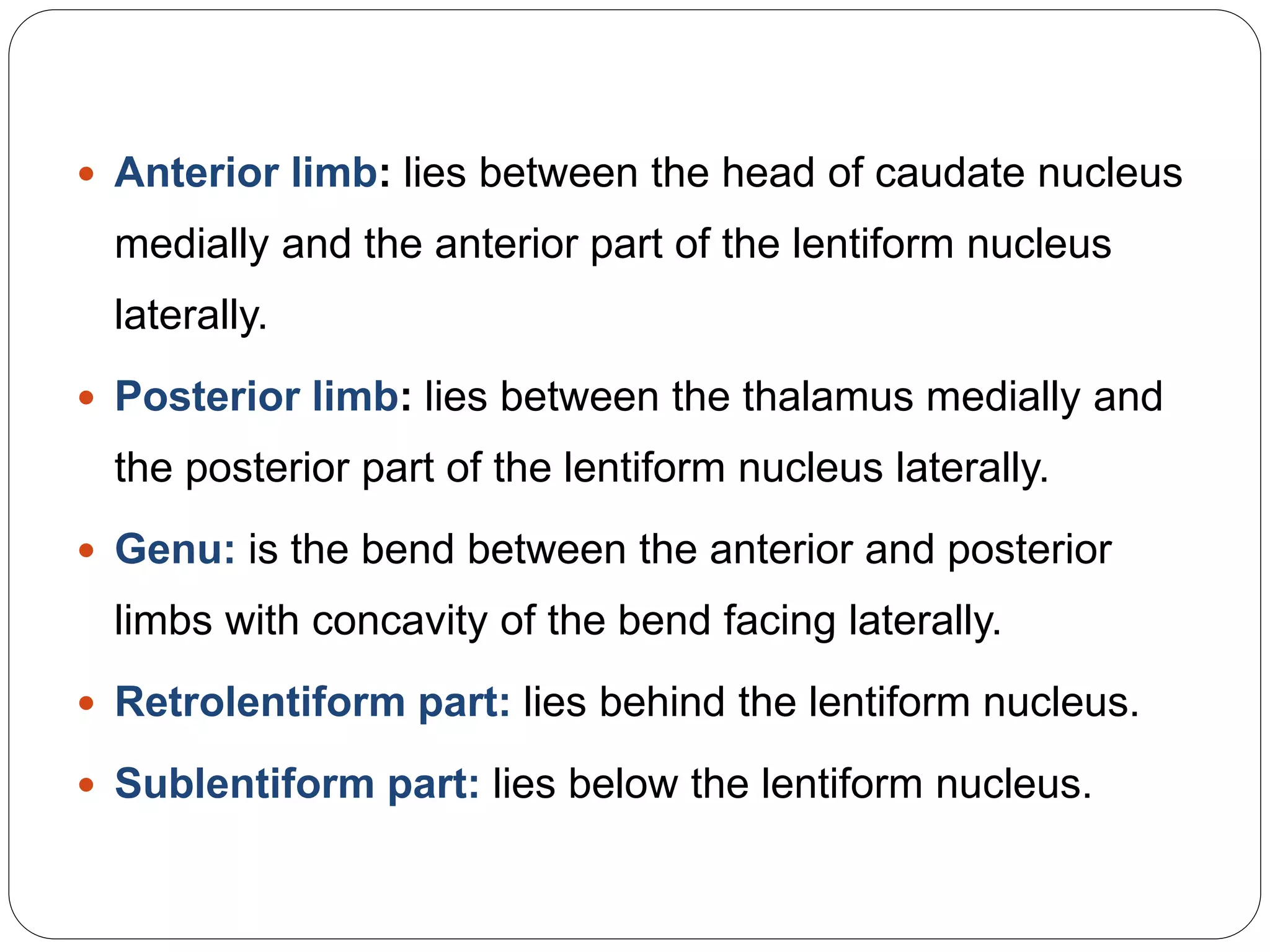Internal capsule | PPTX