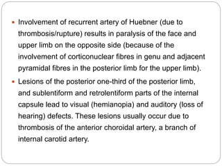 Internal capsule | PPTX