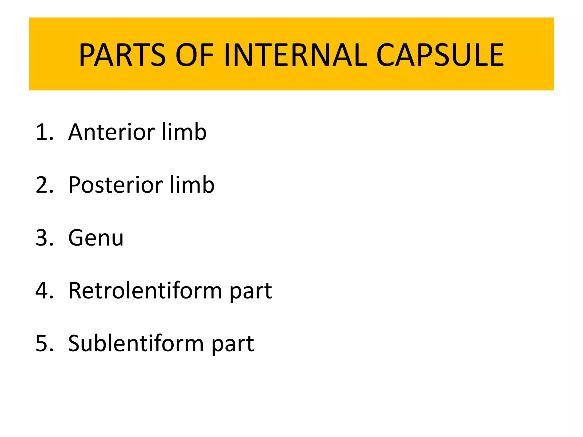 internal capsule.pptx