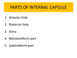 internal capsule.pptx | Brain and Nervous System Disorders | Diseases ...