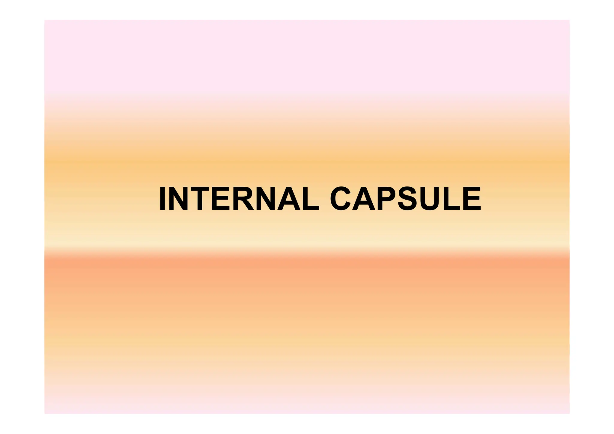 Internal Capsule.pdf