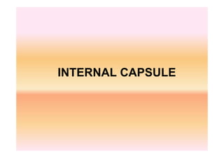 Internal Capsule.pdf