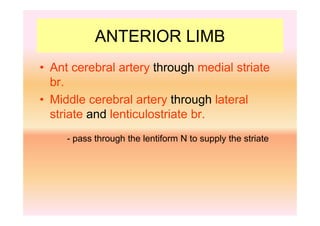 Internal Capsule.pdf