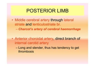 Internal Capsule.pdf